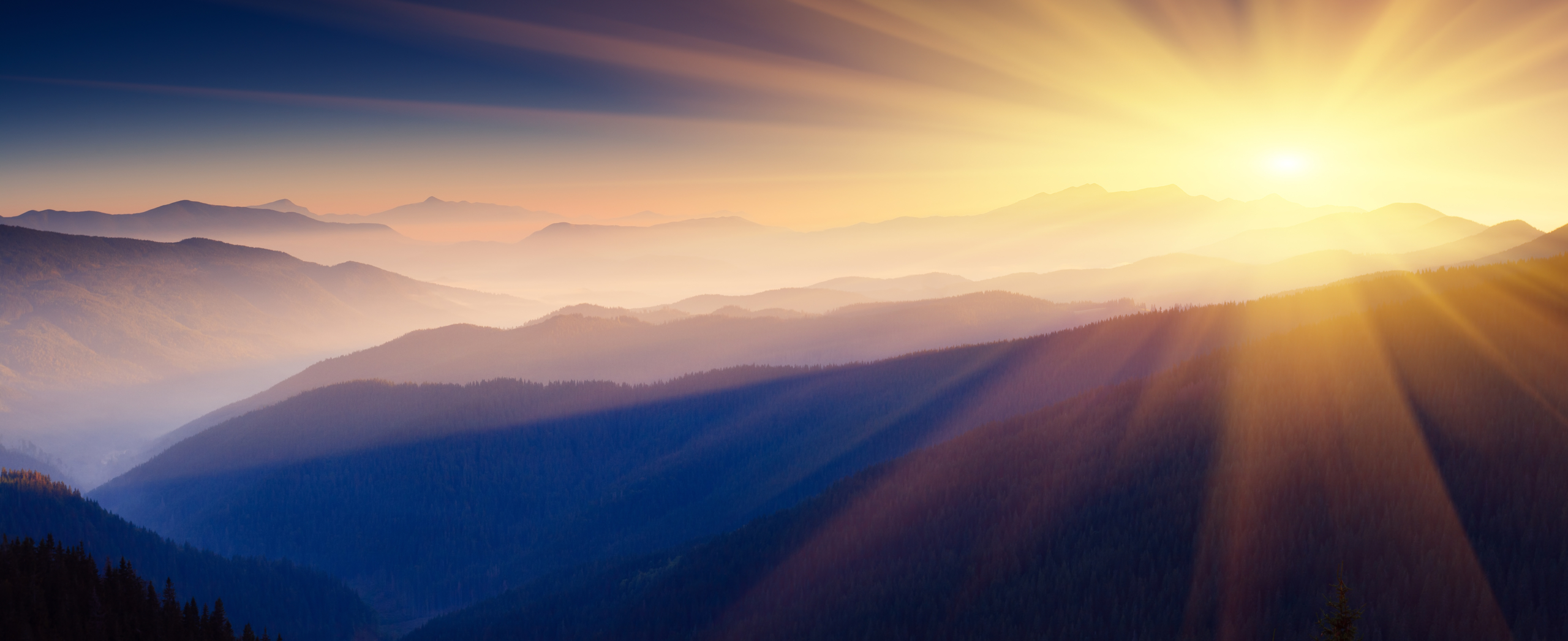 Insight Newsletter Feature: Alignment - International Association of Sufism